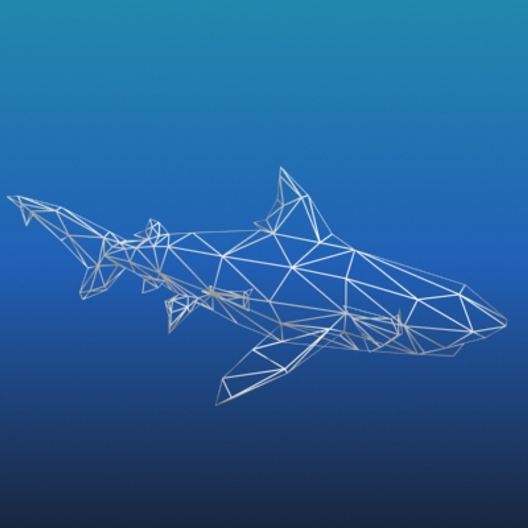 shark fish 3d model