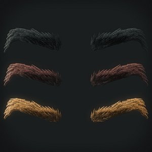 3D Eyebrows Models | TurboSquid