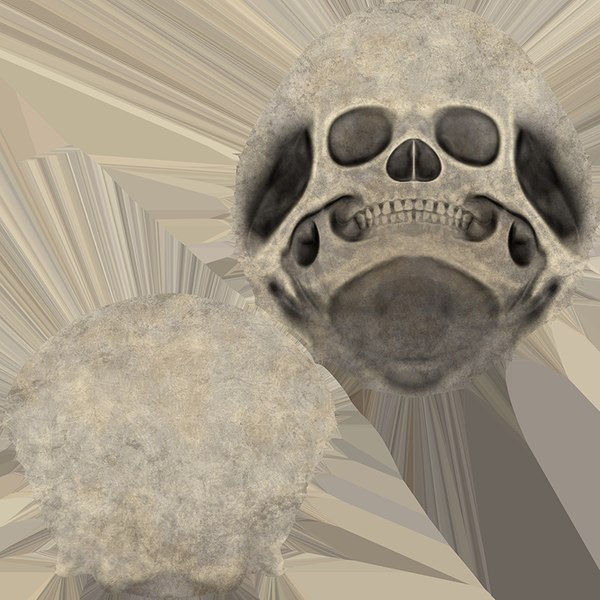 modelo 3d Calaveras Lowpoly 4k Low-poly - TurboSquid 1898780