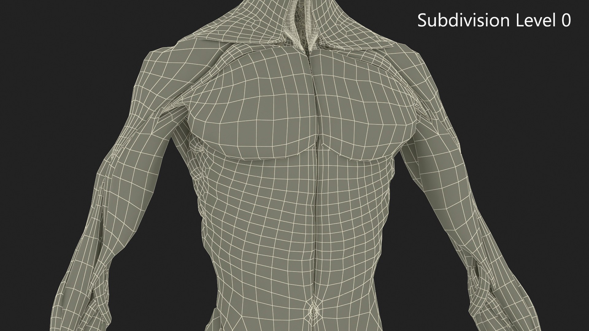 3D Muscular System Male Anatomy Rigged - TurboSquid 2411534