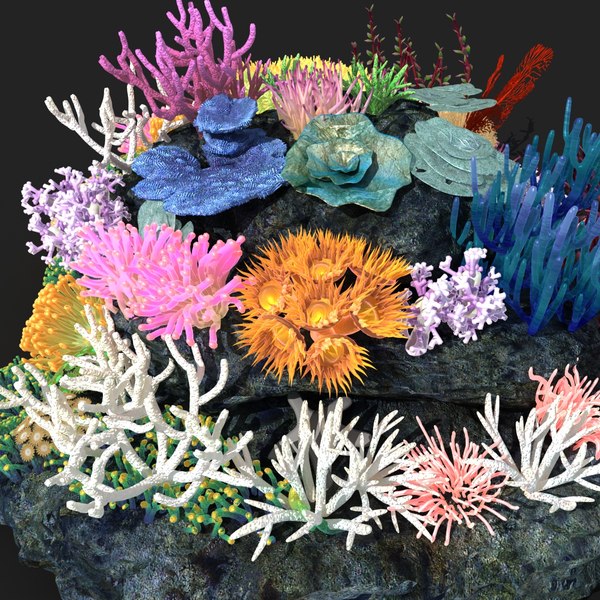 3d coral model