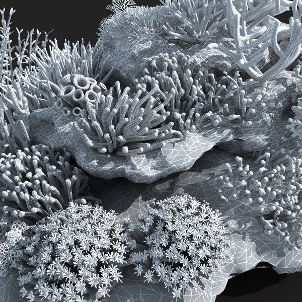 3d coral model