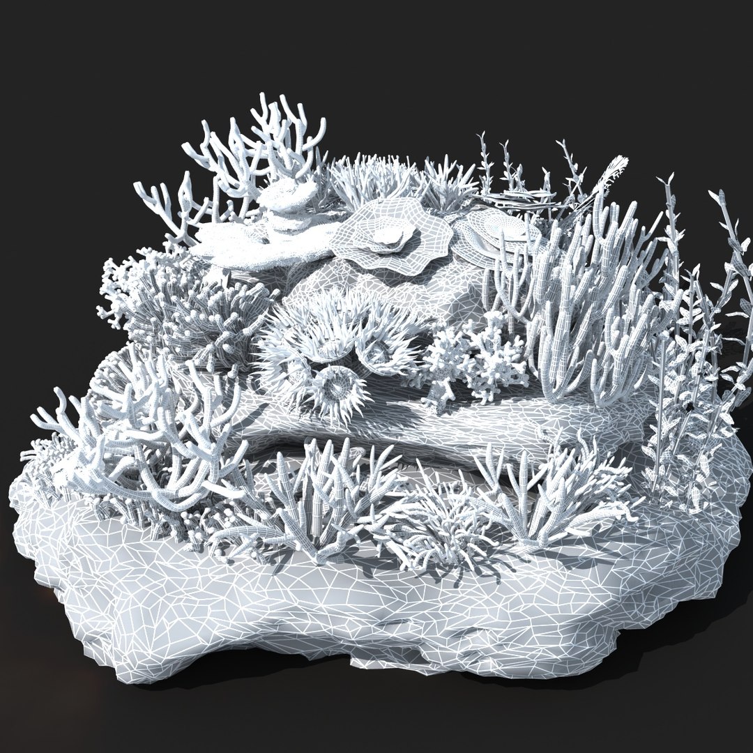 3d Coral Model