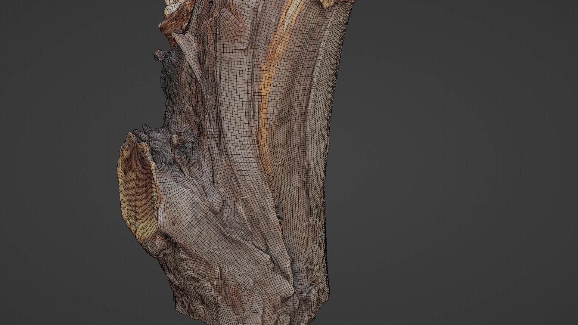 Stump Model - TurboSquid 2332324