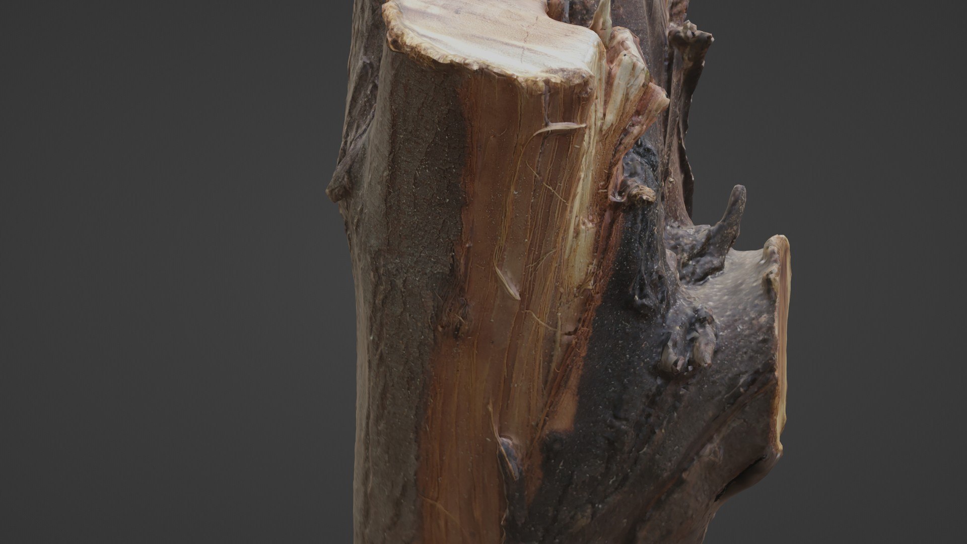 Stump Model - TurboSquid 2332324