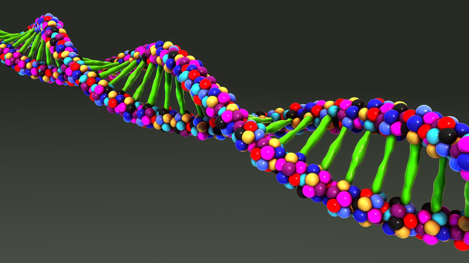 3d dna