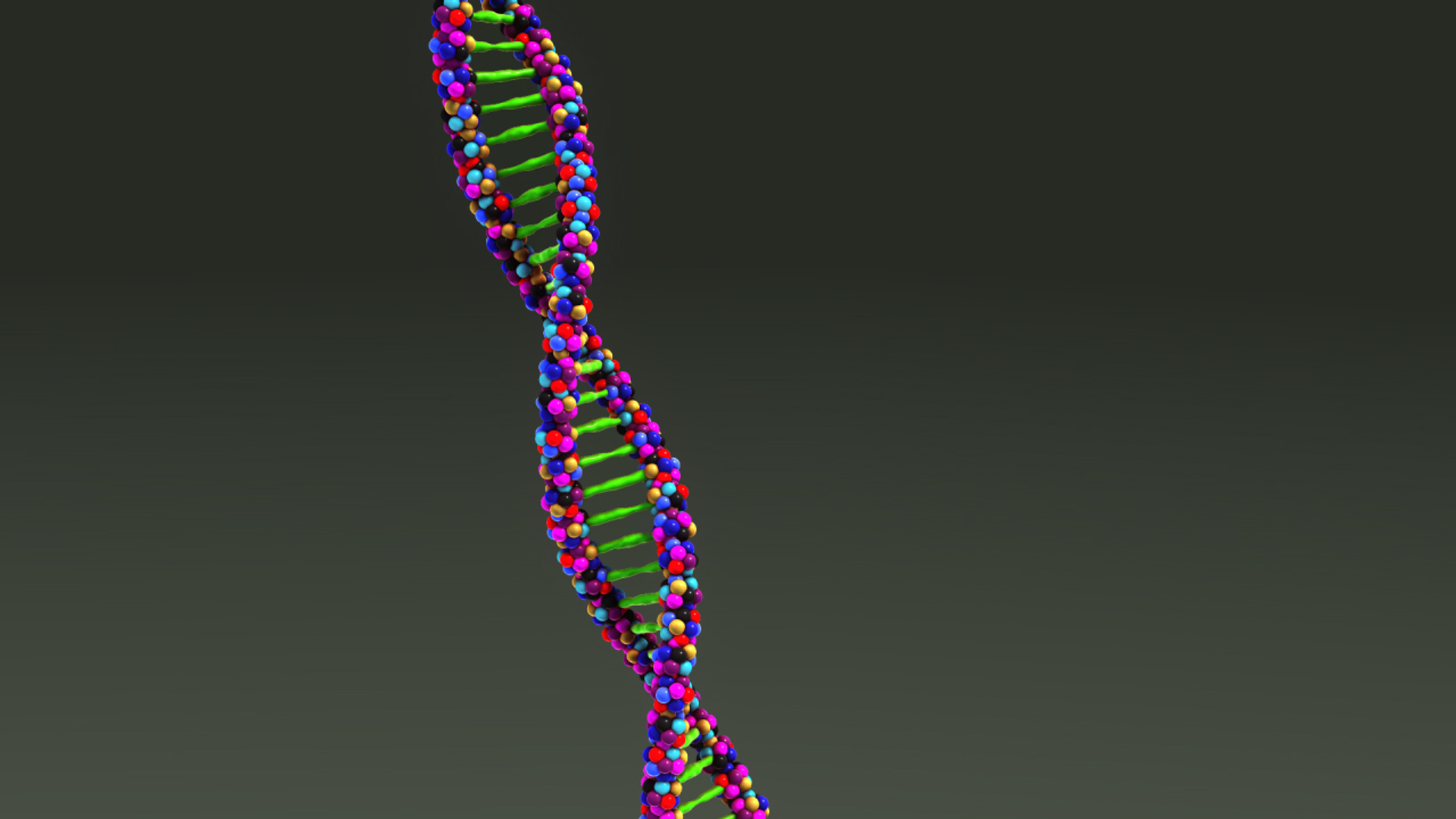 3d dna