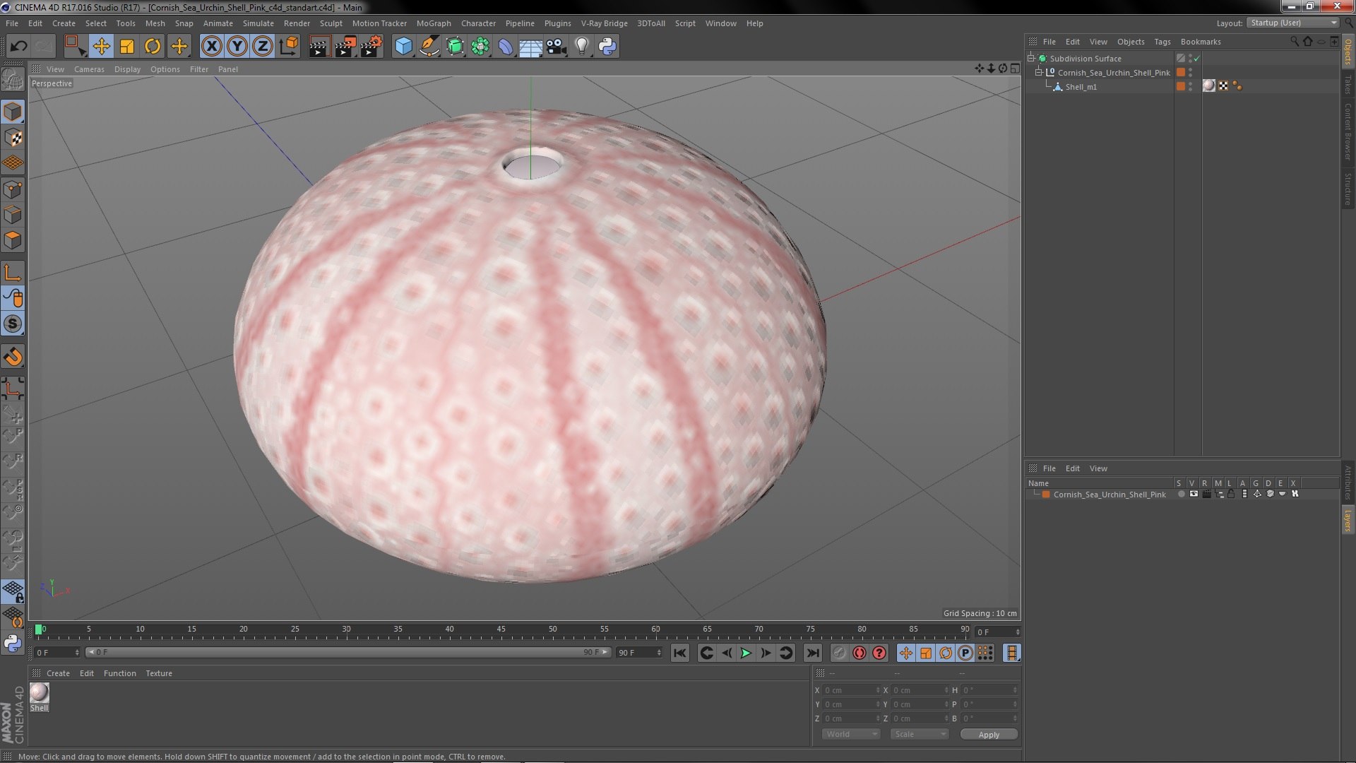 Cornish Sea Urchin Shell Pink 3D Model - TurboSquid 2115631