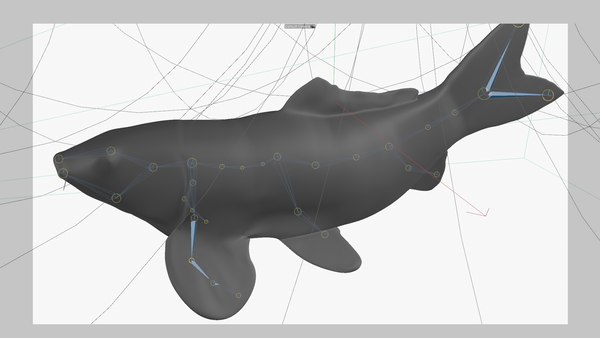 modelo 3d Japanese Carp Fish Rigged L1844 - TurboSquid 1969241