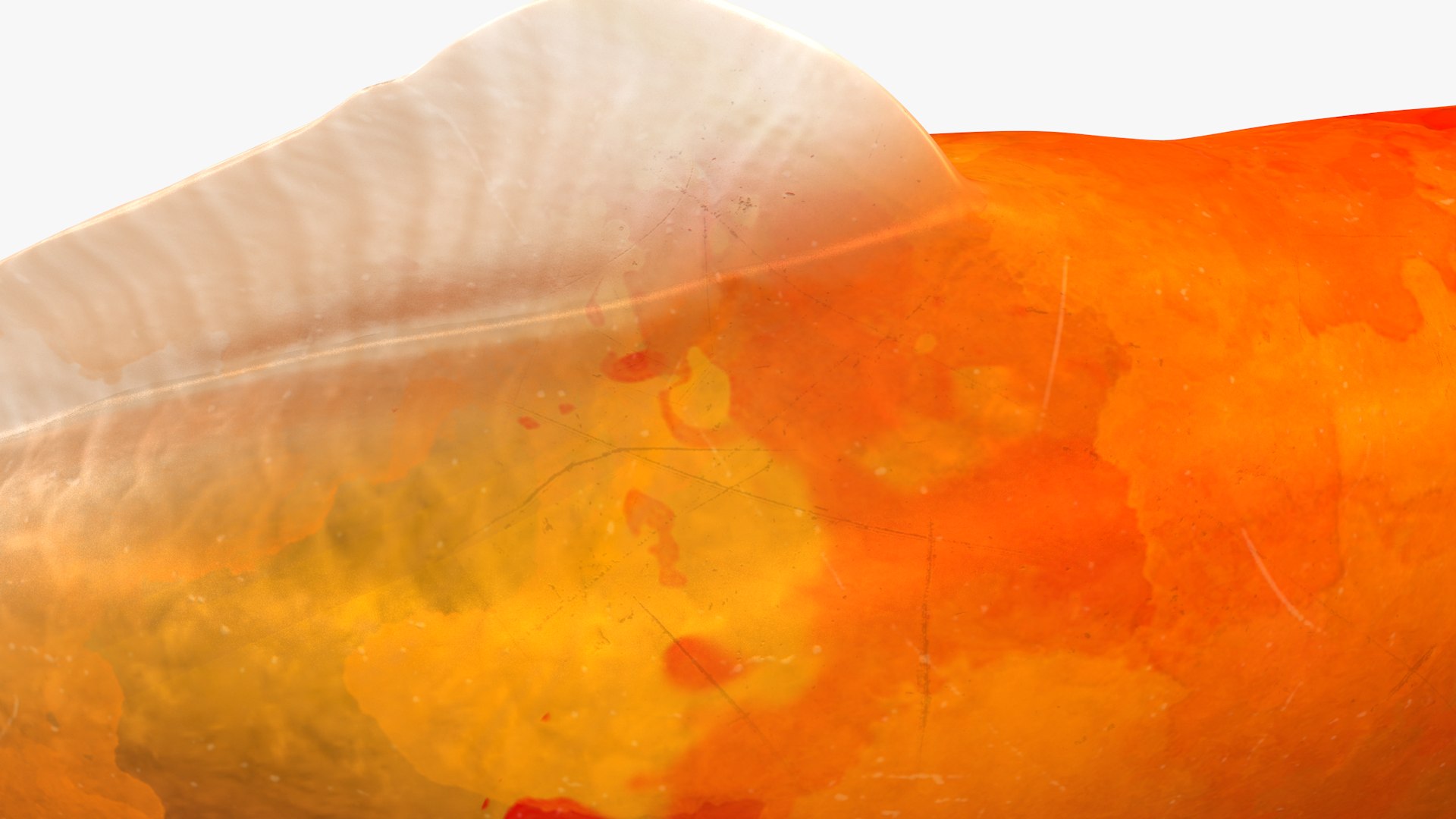 Japanese Carp Fish Rigged L1844 3D model - TurboSquid 1969241