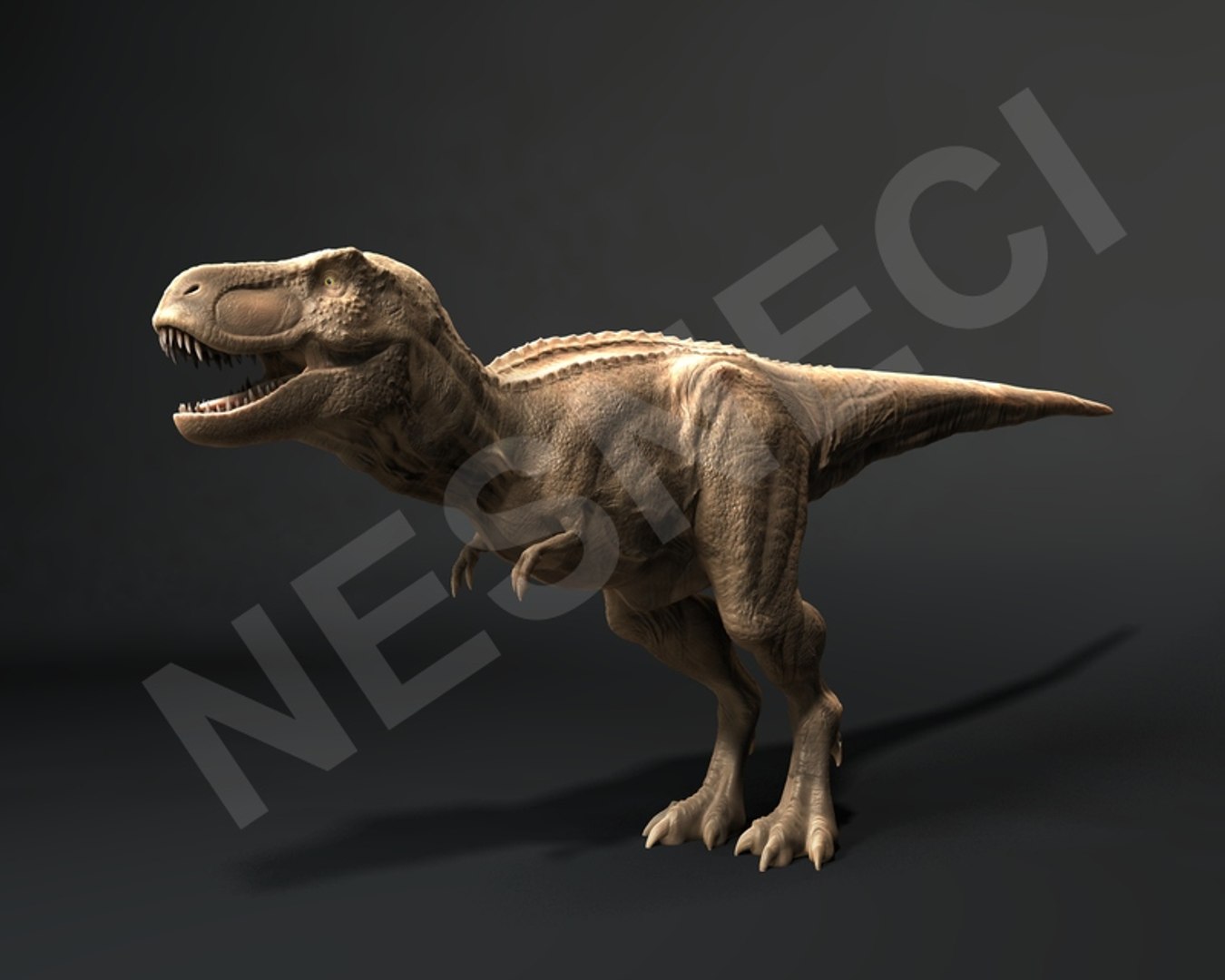 Trex Animation 3d Model