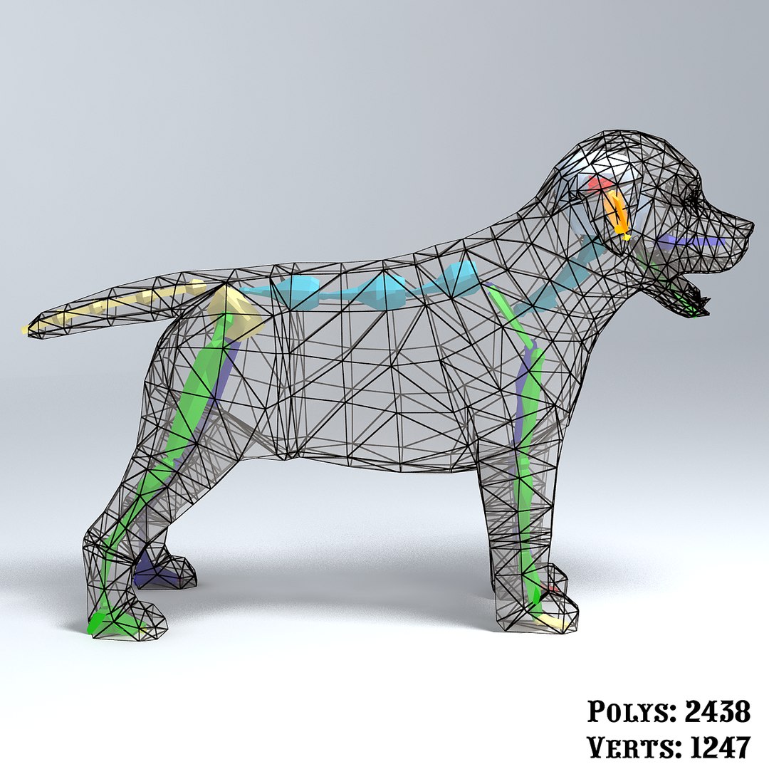 Rottweiler Puppy Max