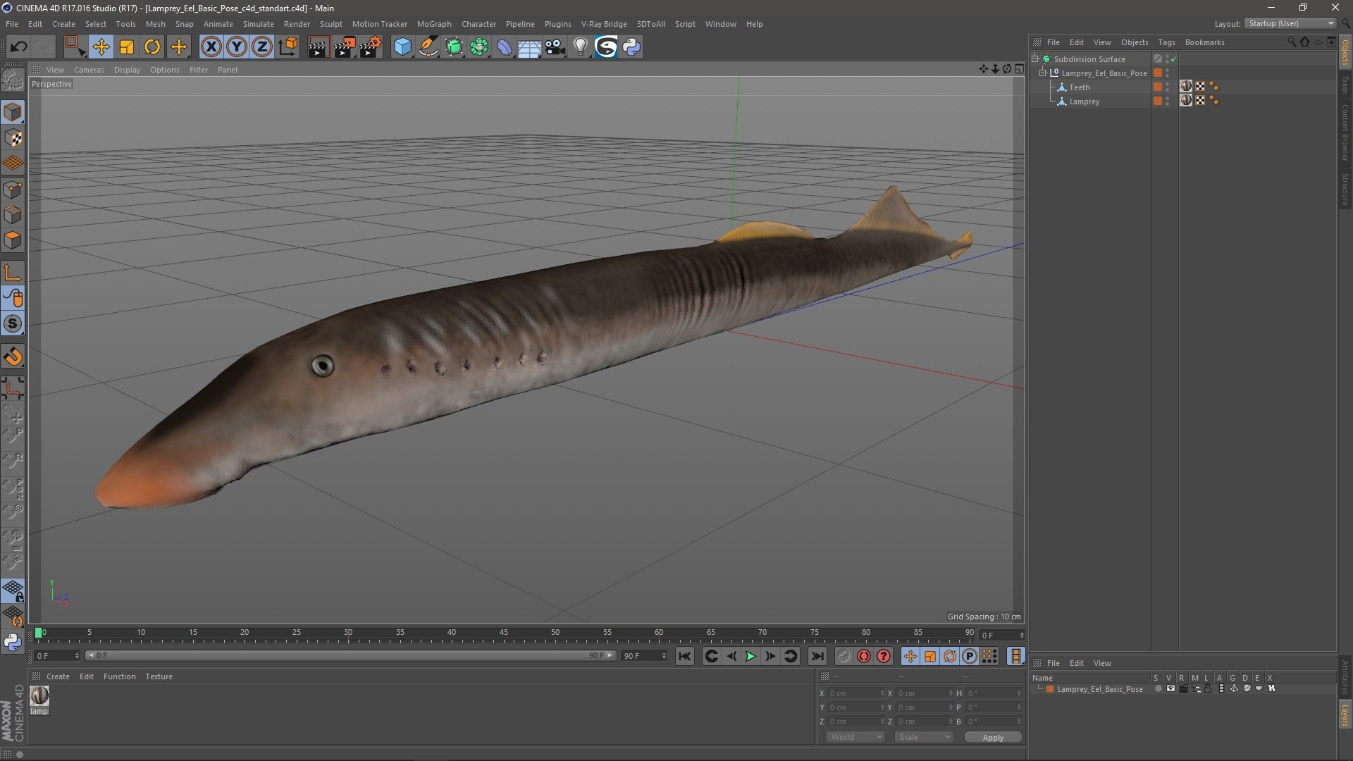 3D Model Lamprey Eel Basic Pose - TurboSquid 2191698