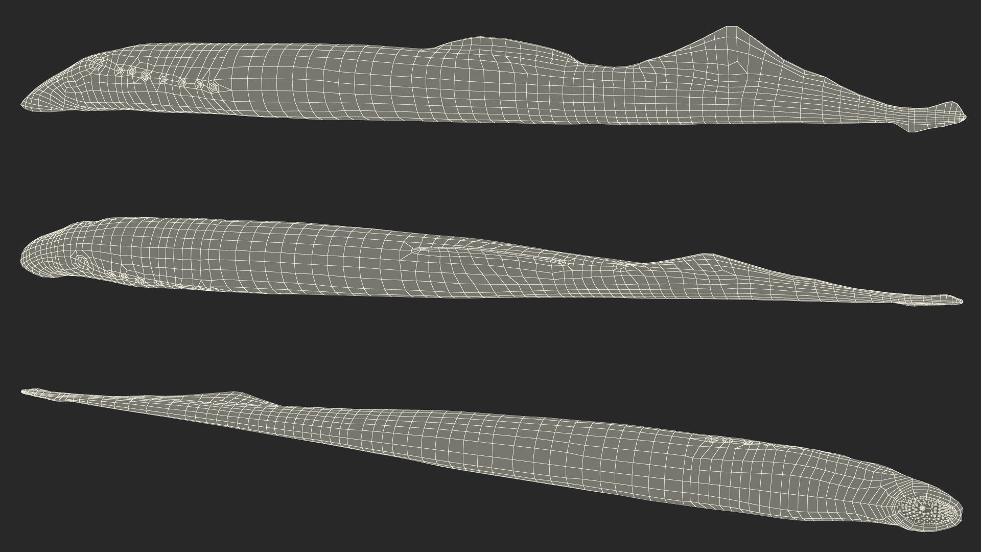 3D Model Lamprey Eel Basic Pose - TurboSquid 2191698