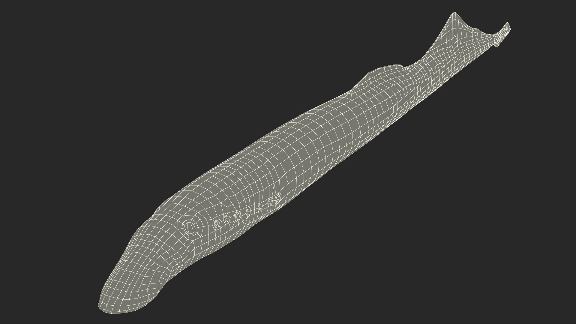 3D Model Lamprey Eel Basic Pose - TurboSquid 2191698