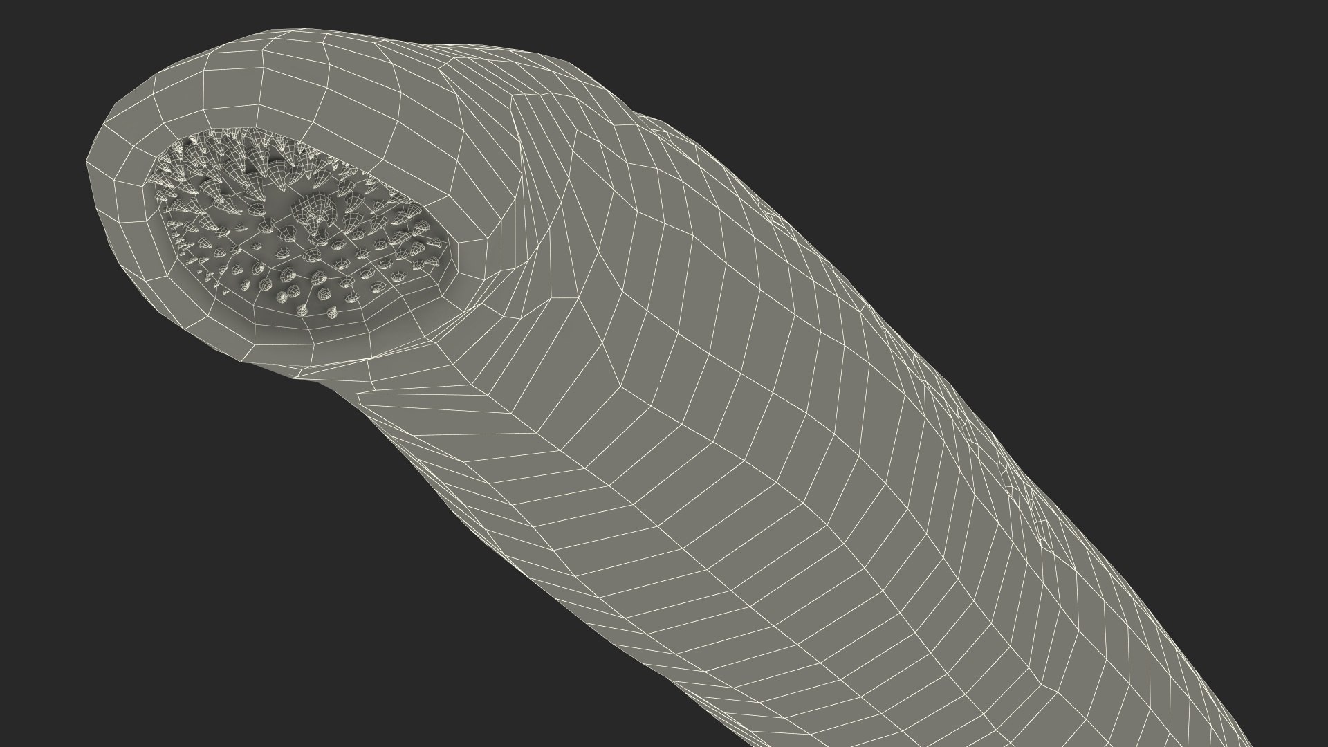 3D Model Lamprey Eel Basic Pose - TurboSquid 2191698