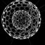 Radiolarian Science 3d Model