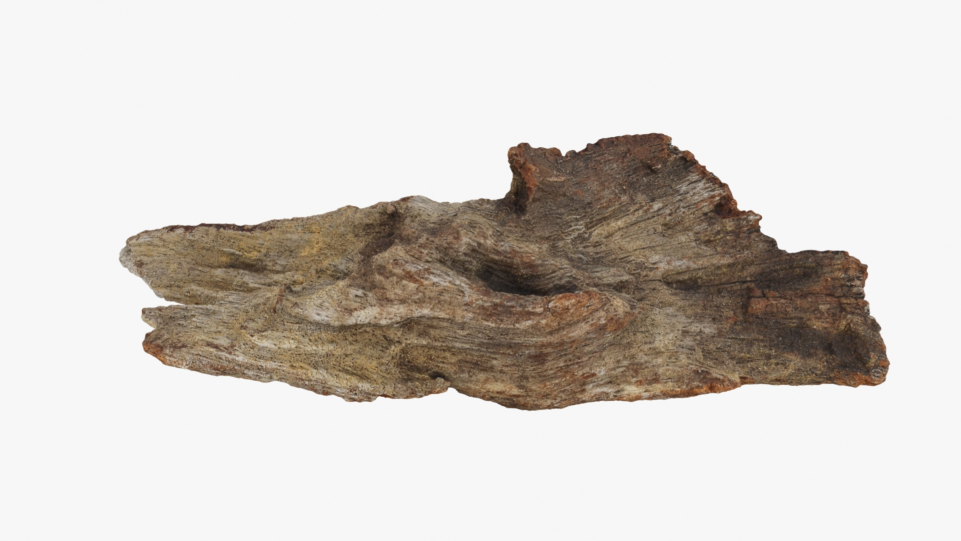 3D Model Broken Tree Trunk 01 - TurboSquid 2272680