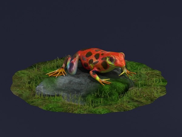 3D Rainforest Models | TurboSquid
