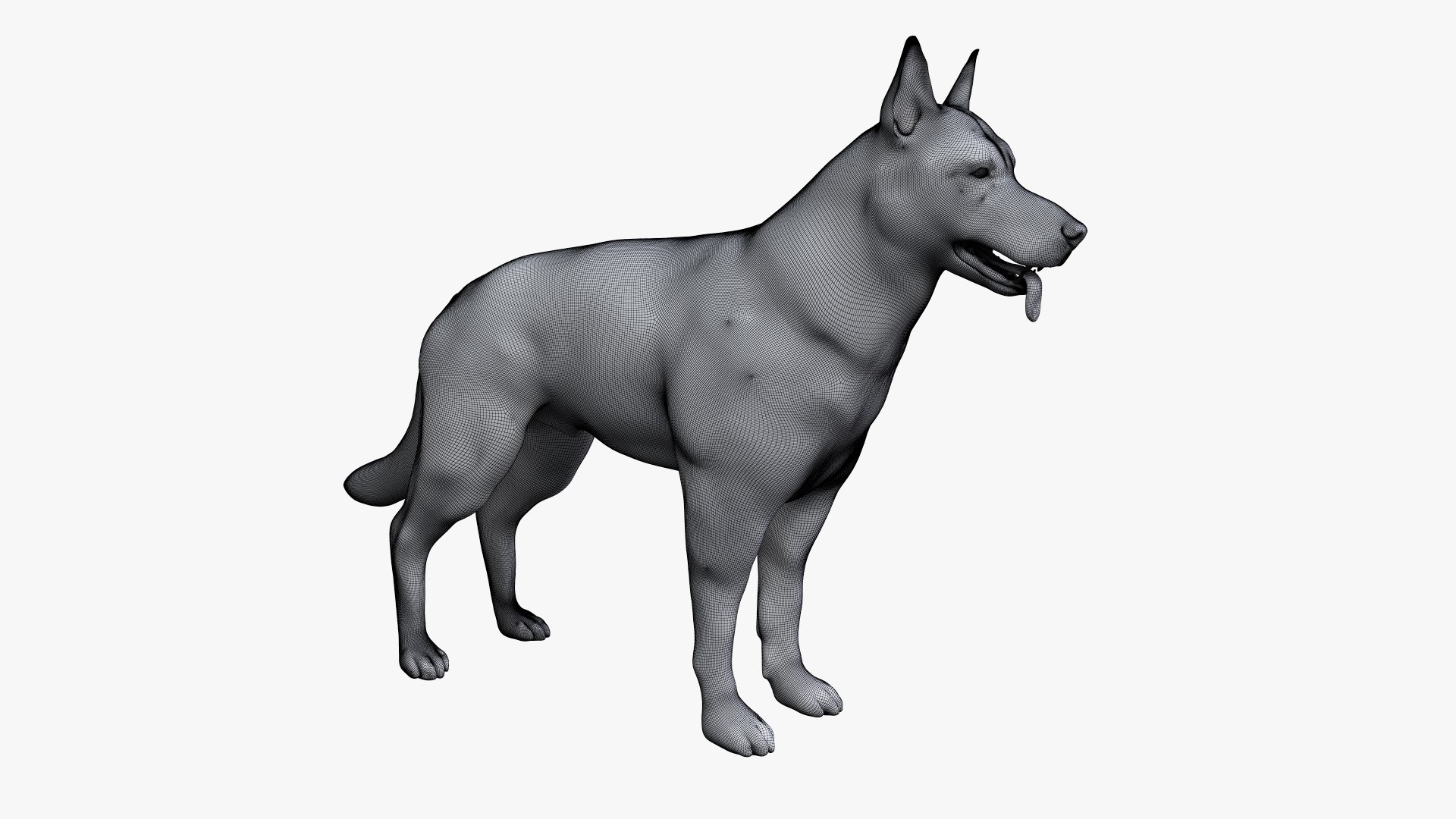 Skin Dog Skeleton Lymphatic Model - TurboSquid 1463742