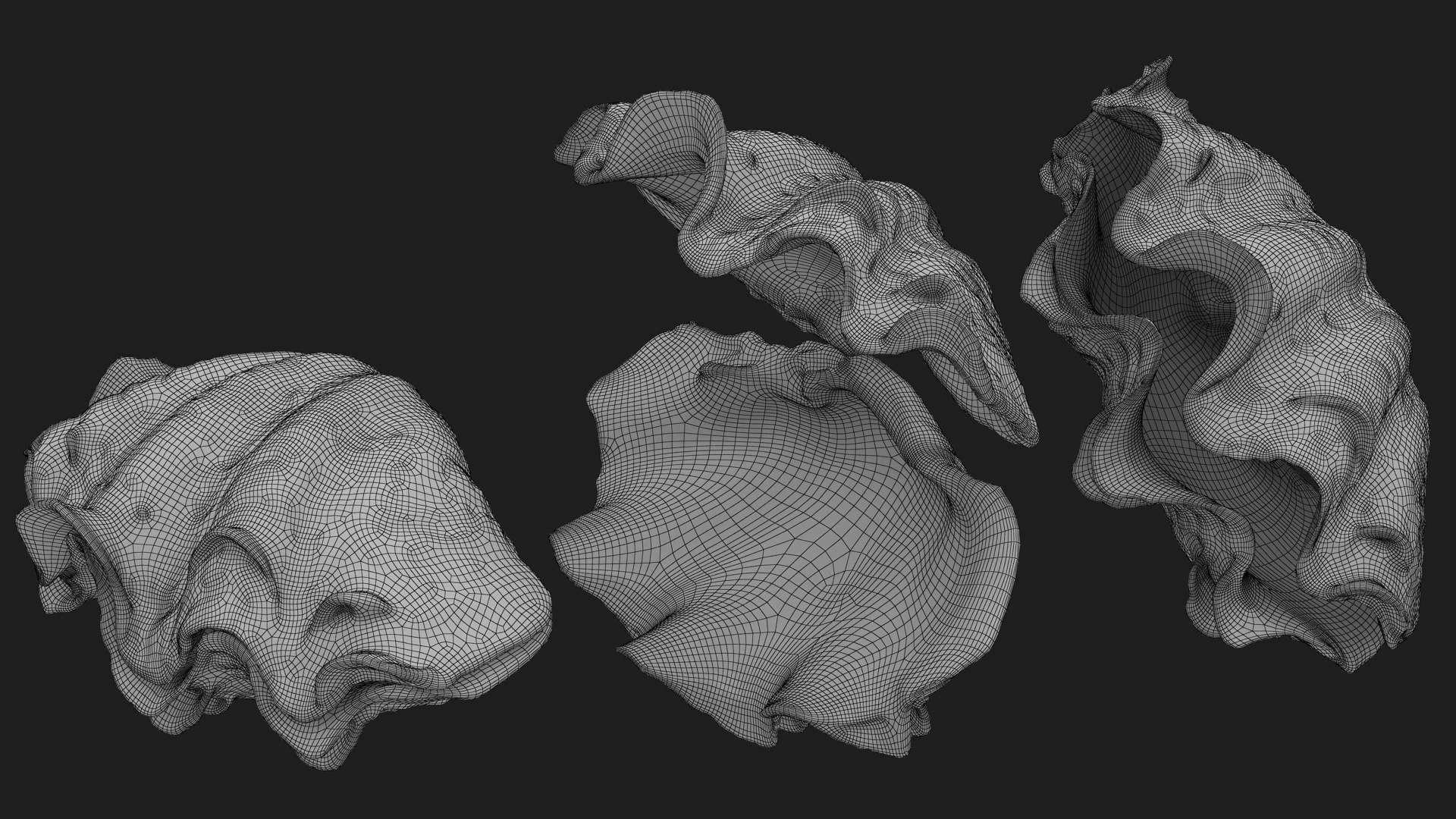 3D Giant Clam Shell Open 2 Model - TurboSquid 2306071