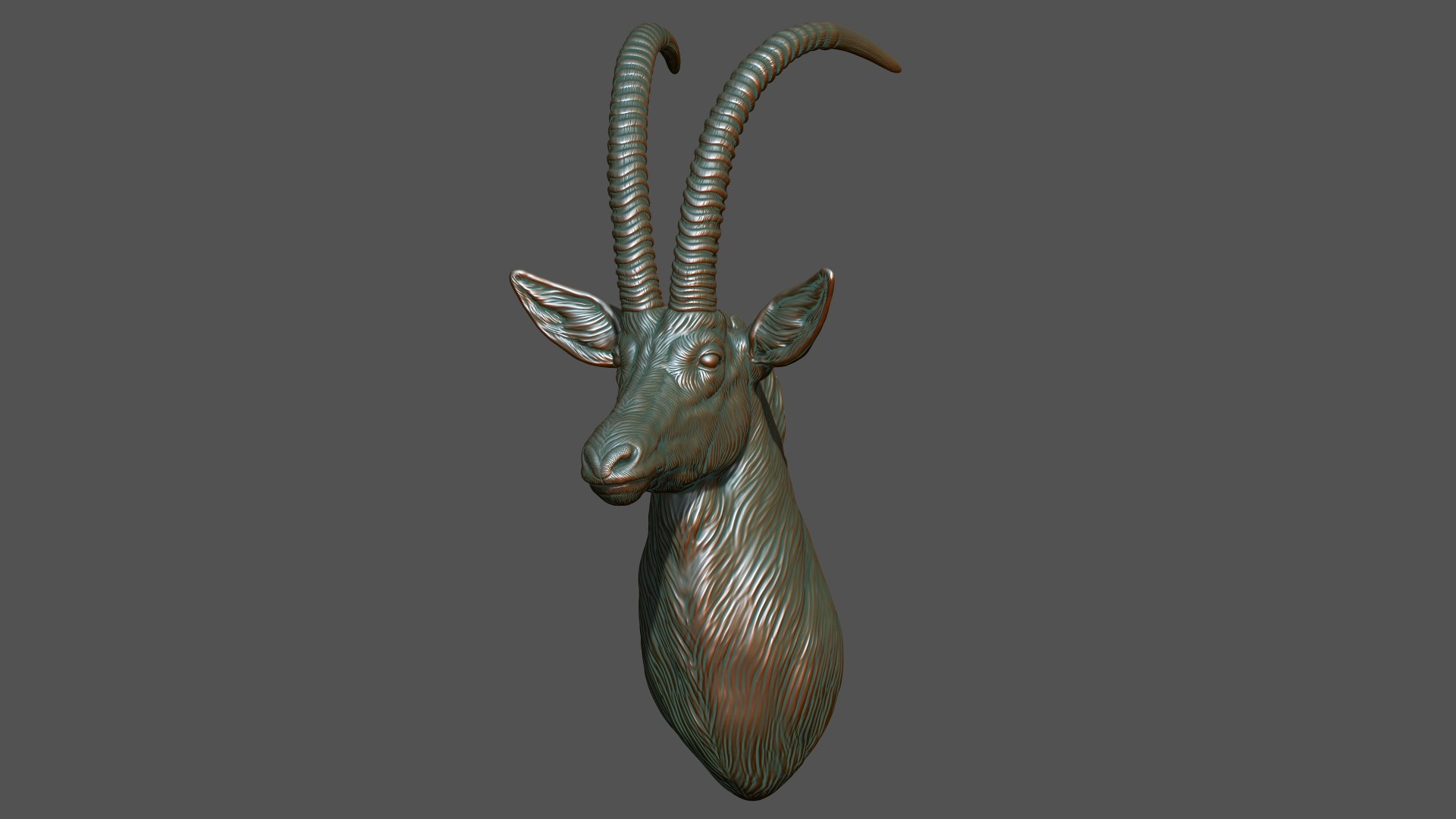 3D Sable Black Antelope Bust Model - TurboSquid 2314262