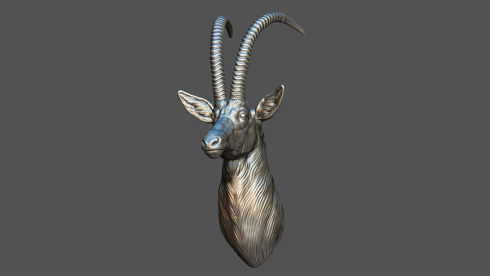 3D Sable Black Antelope Bust Model - TurboSquid 2314262