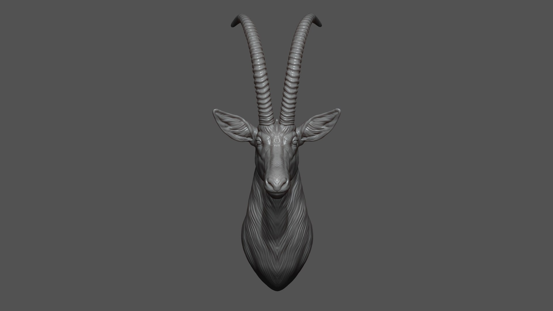 3D Sable Black Antelope Bust Model - TurboSquid 2314262