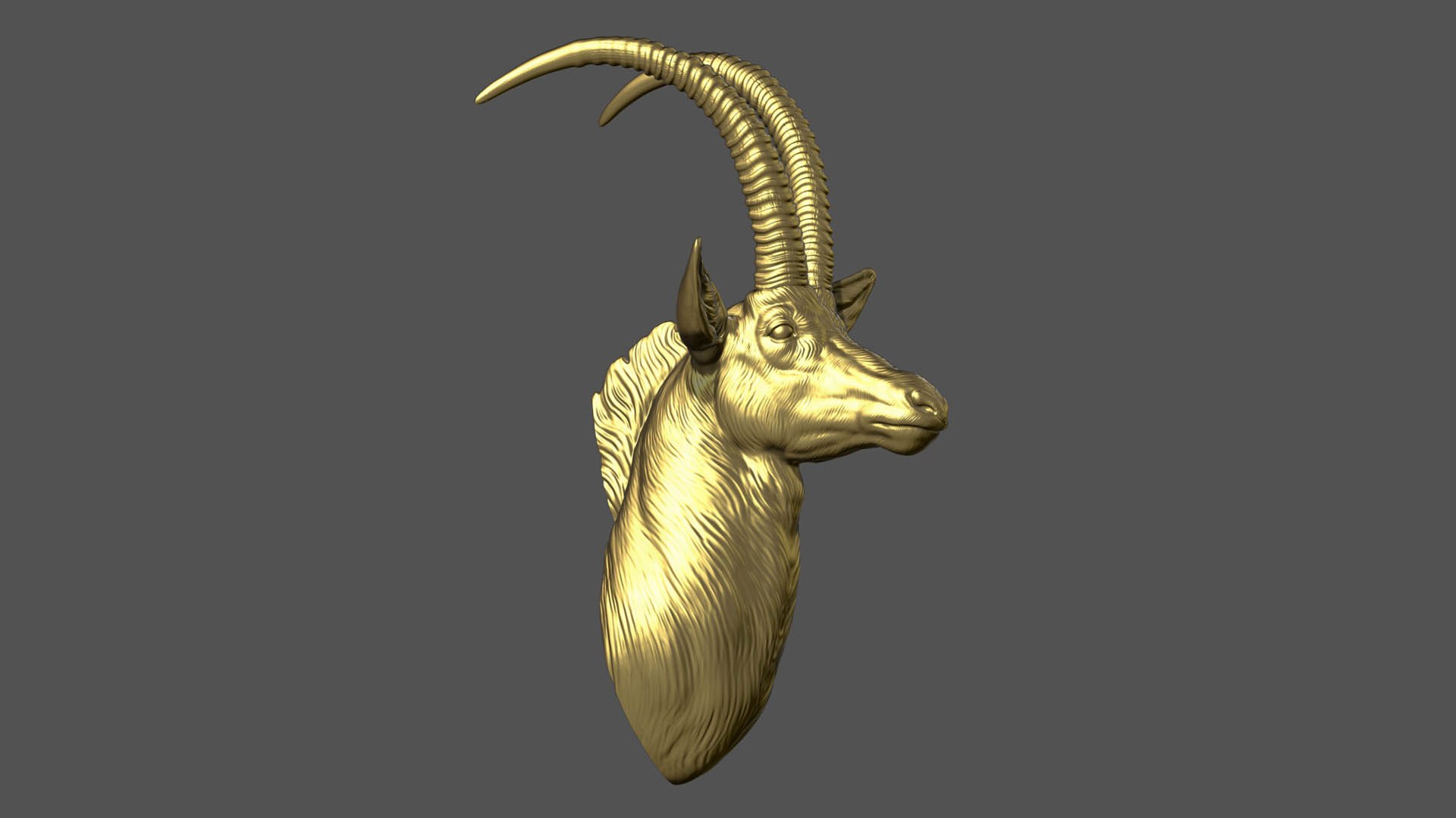 3D Sable Black Antelope Bust Model - TurboSquid 2314262