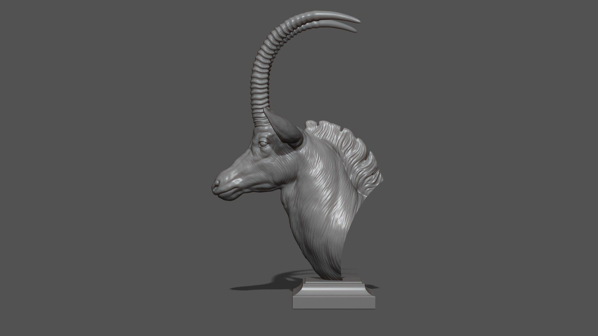 3D Sable Black Antelope Bust Model - TurboSquid 2314262