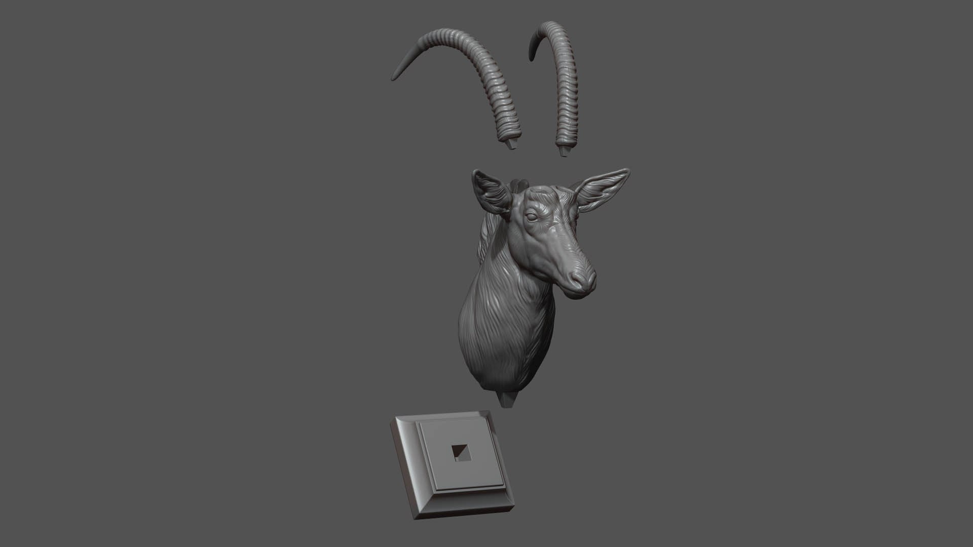 3D Sable Black Antelope Bust Model - TurboSquid 2314262
