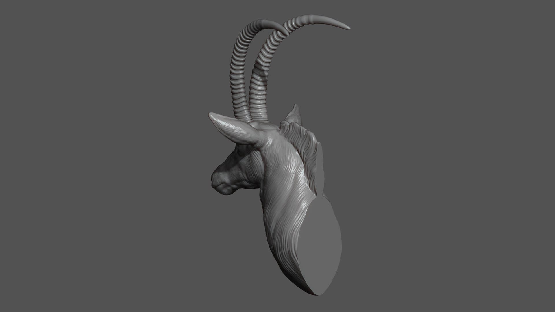 3D Sable Black Antelope Bust Model - TurboSquid 2314262
