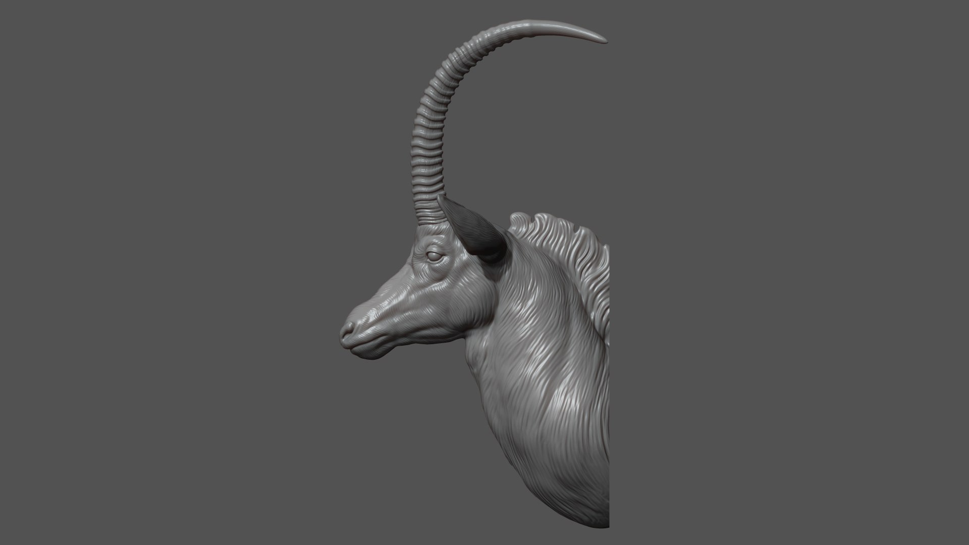3D Sable Black Antelope Bust Model - TurboSquid 2314262