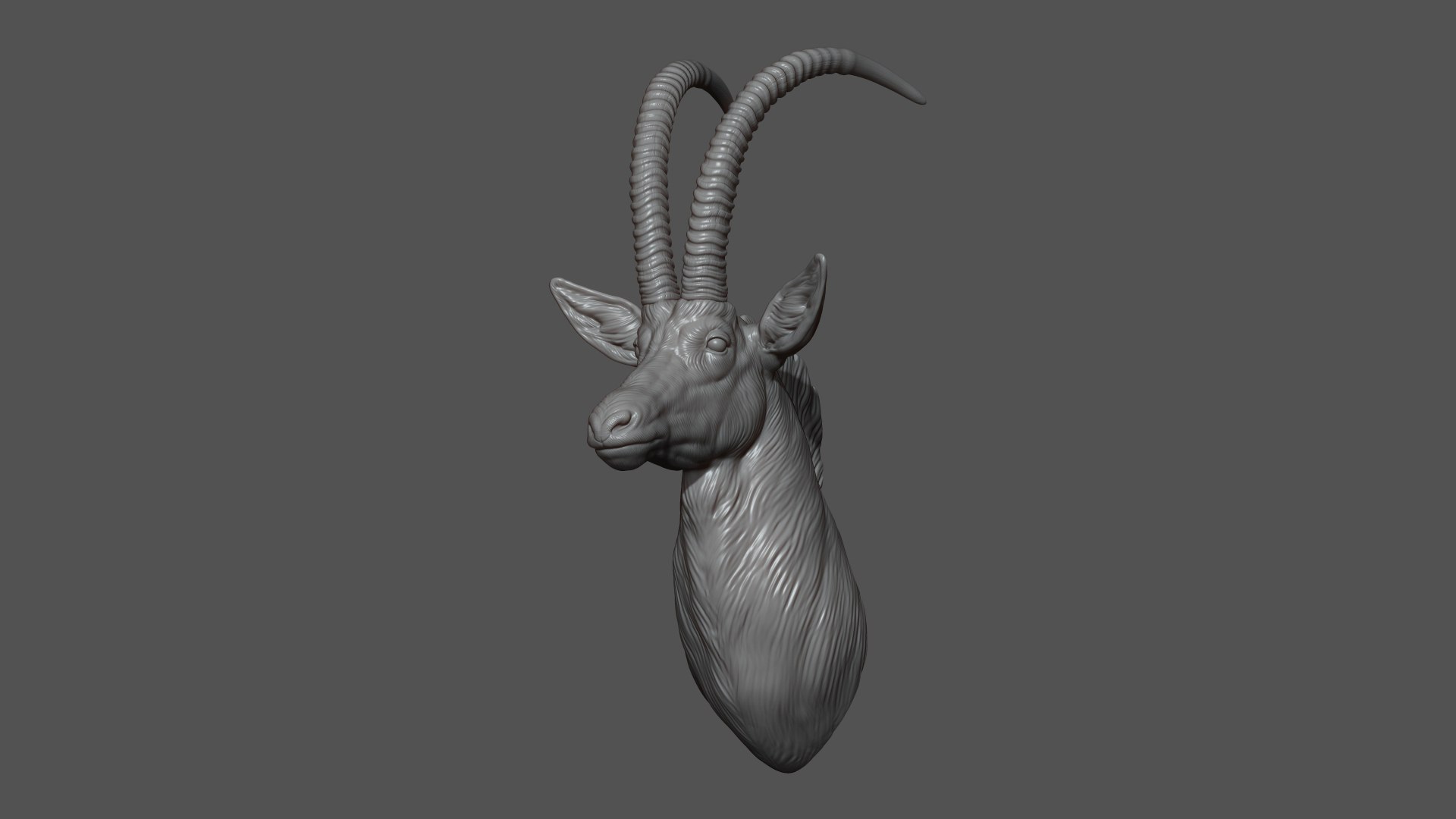 3D Sable Black Antelope Bust Model - TurboSquid 2314262
