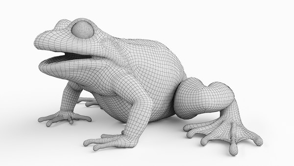 modelo 3d Esqueleto de cuerpo de rana y músculos estáticos - TurboSquid ...