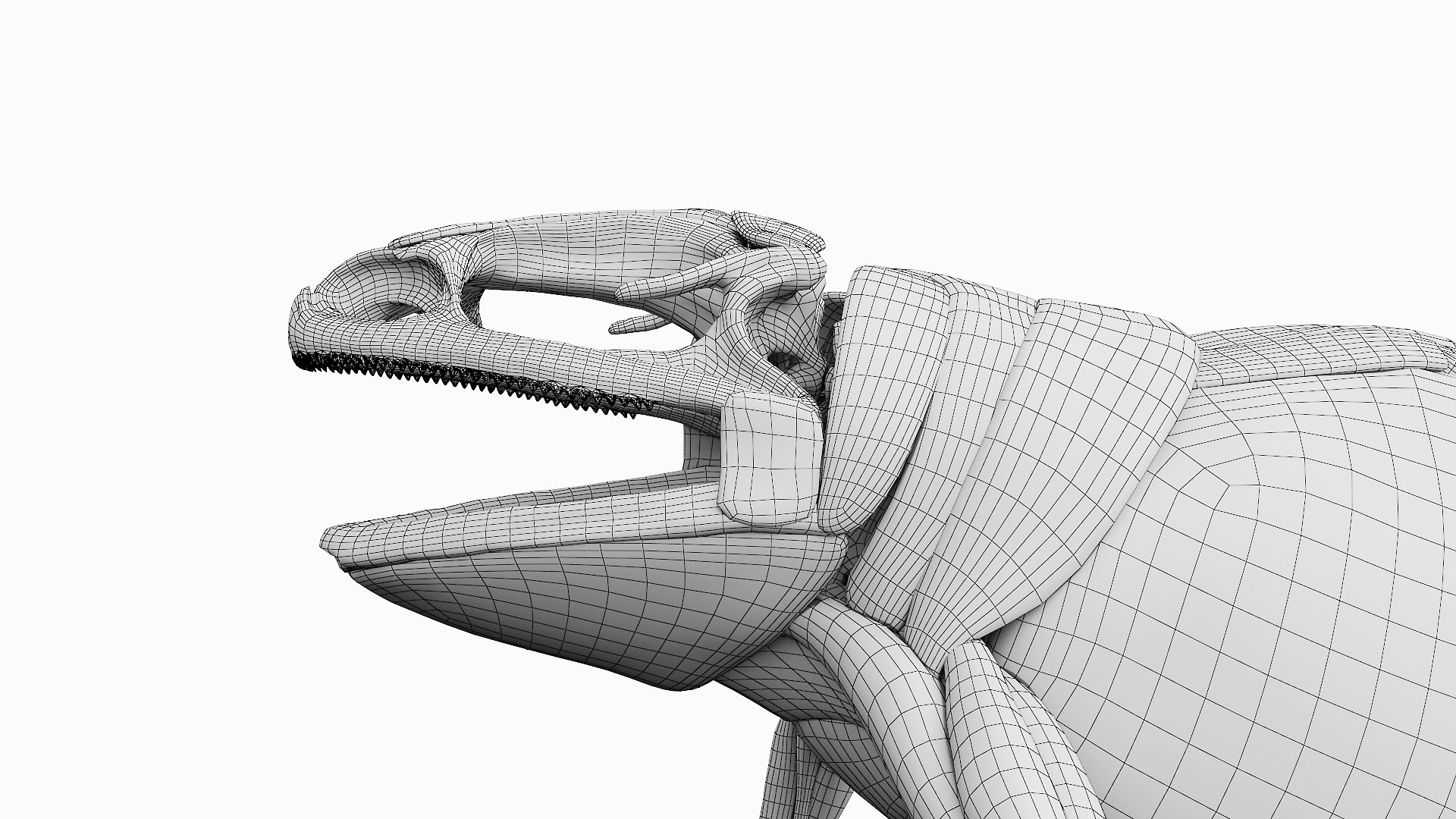 Frog Body Skeleton and Muscles Static 3D model - TurboSquid 1907016
