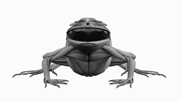 modelo 3d Esqueleto de cuerpo de rana y músculos estáticos - TurboSquid ...