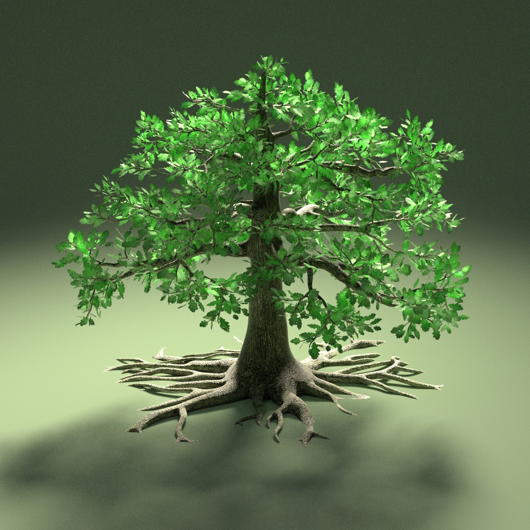Old Oak Tree 3d Model