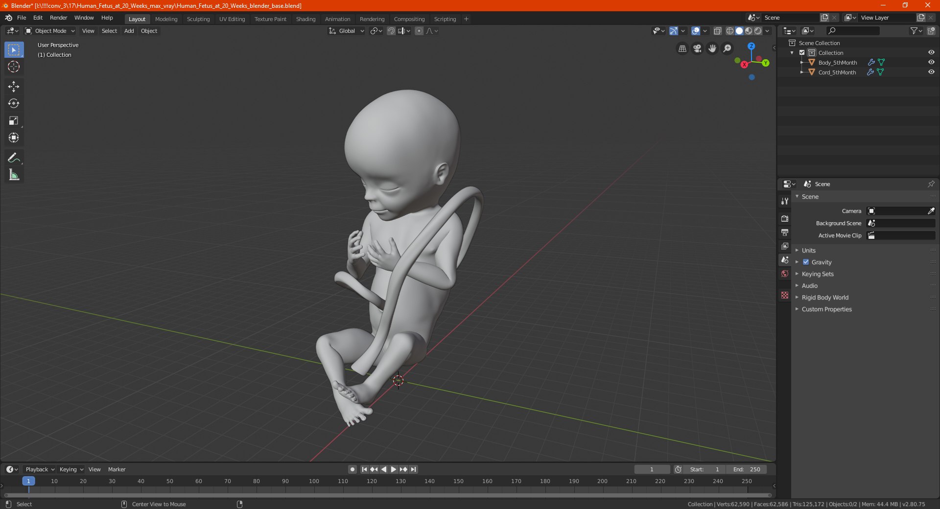 Free 3D human fetus 20 weeks model - TurboSquid 1657910