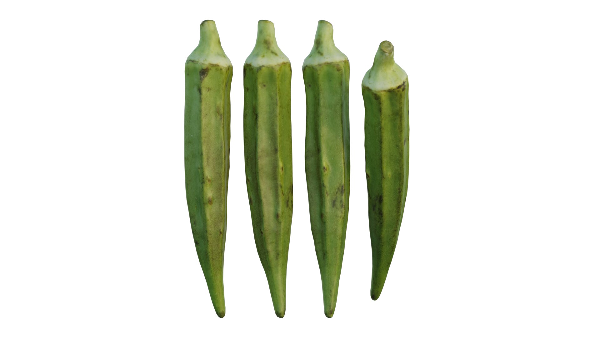 3D Model Fresh Okra - TurboSquid 1922000