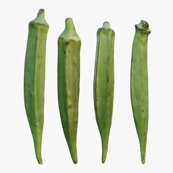 Okra 3D Models for Download | TurboSquid