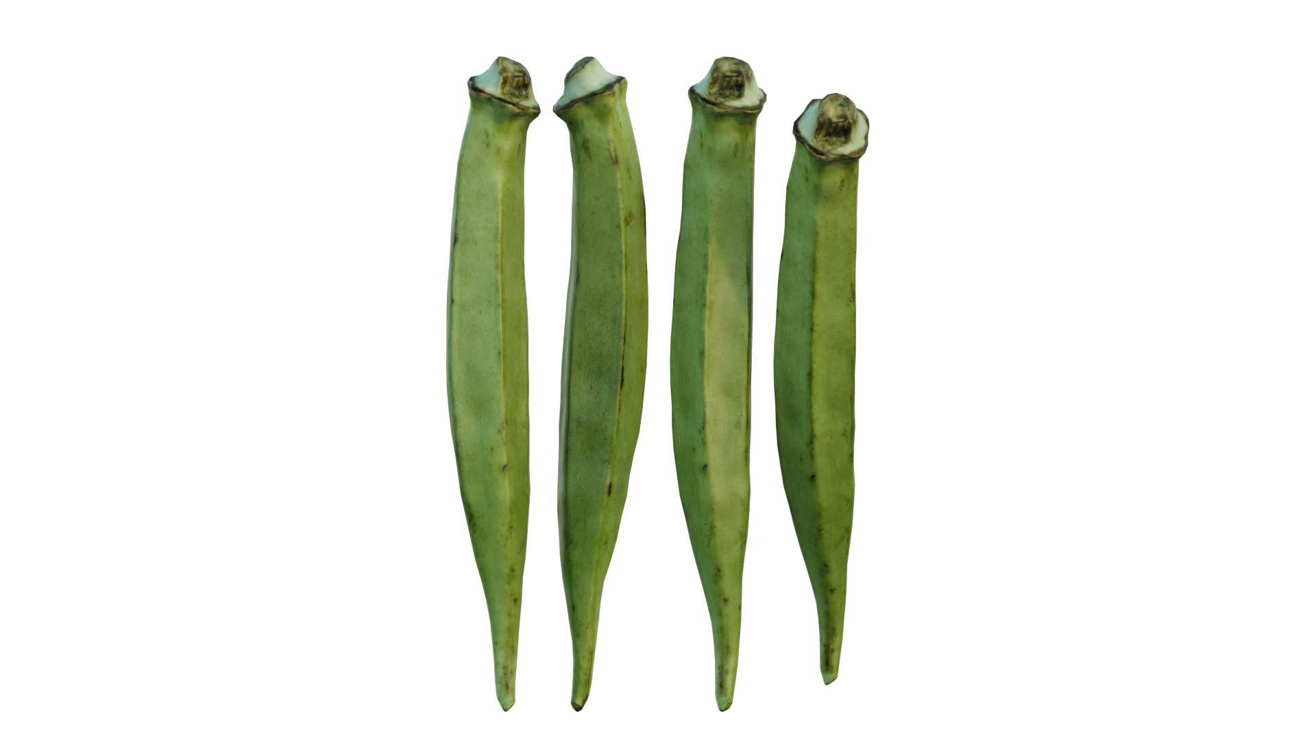 3D Model Fresh Okra - TurboSquid 1922000