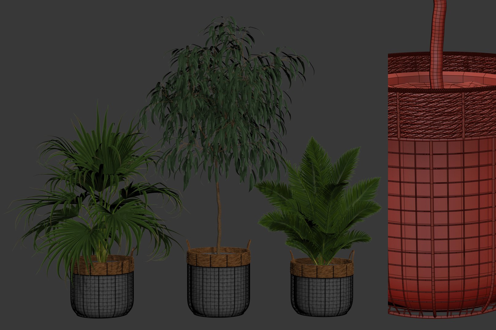 3D Model Plants - TurboSquid 1701092