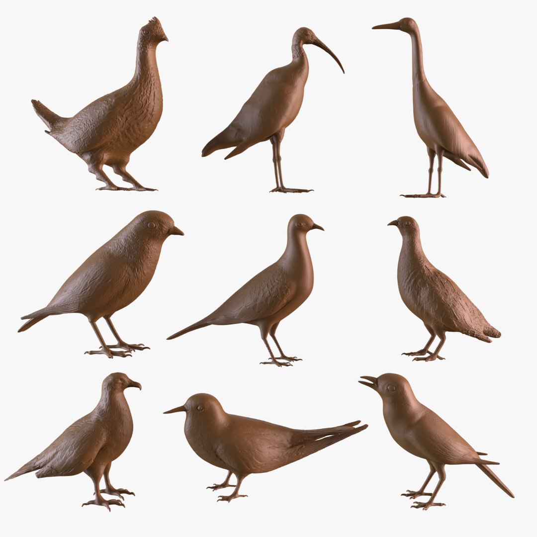 Printable Birds 3D Model - TurboSquid 1893924