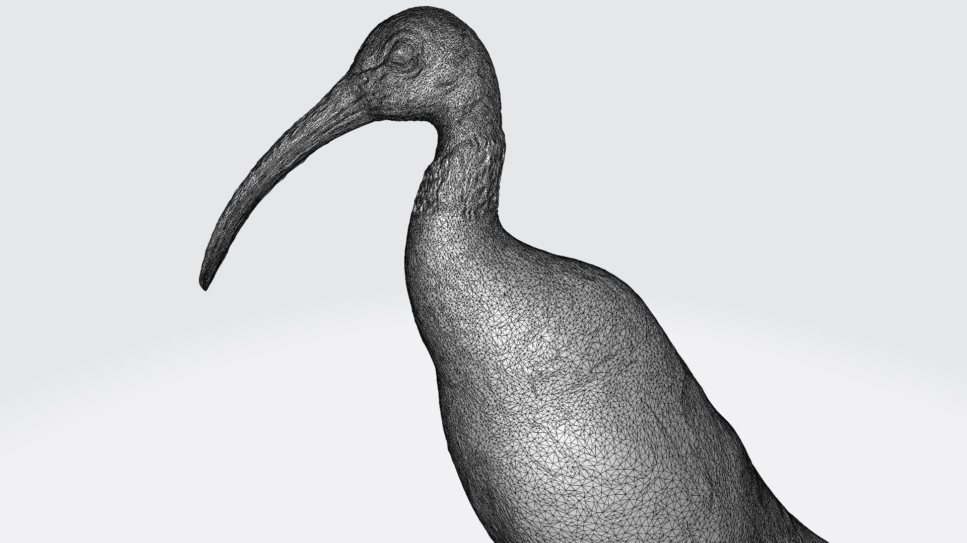 Printable Birds 3D Model - TurboSquid 1893924