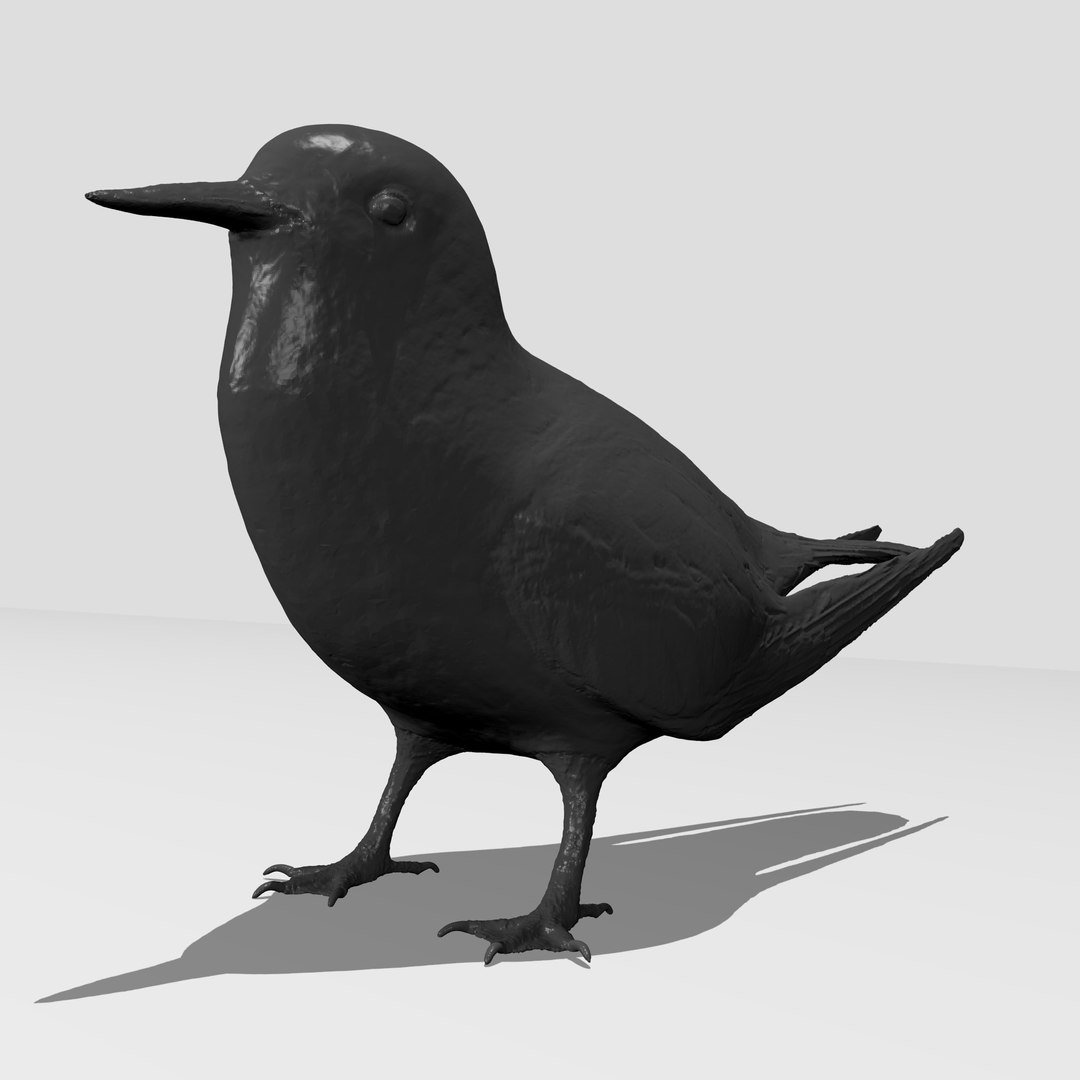 Printable Birds 3D Model - TurboSquid 1893924