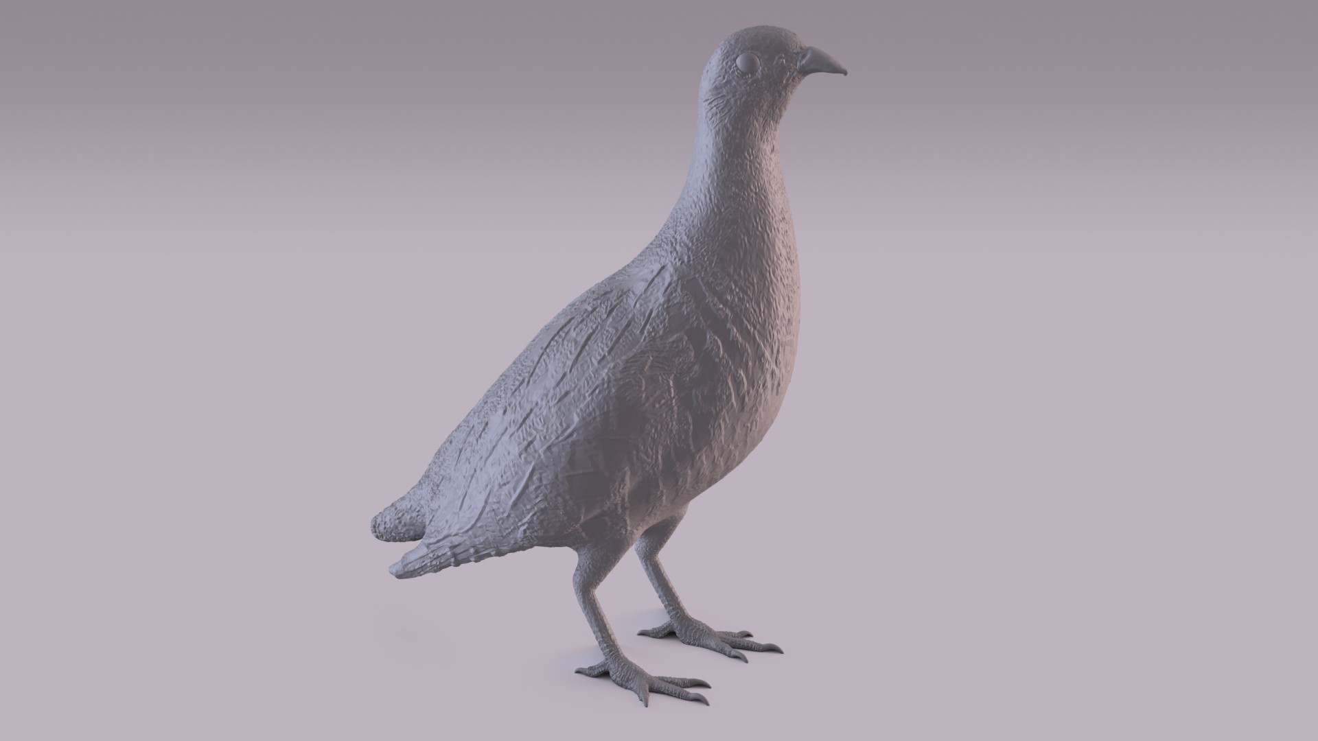 Printable Birds 3D Model - TurboSquid 1893924
