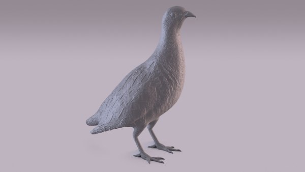 Printable birds 3D model - TurboSquid 1893924