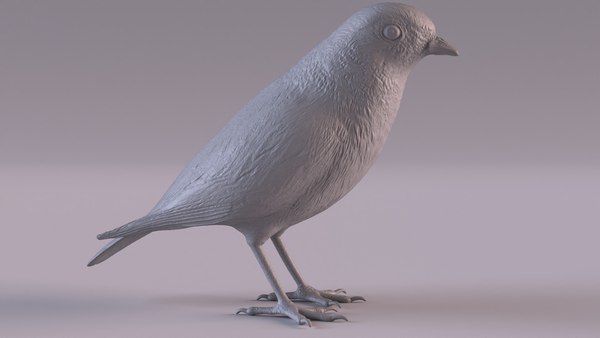 Printable birds 3D model - TurboSquid 1893924