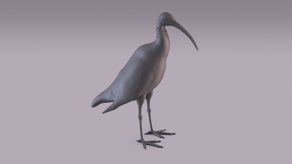 Printable birds 3D model - TurboSquid 1893924